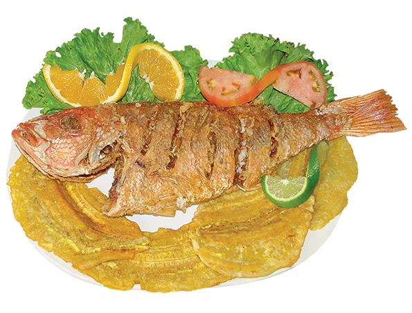 Fried Red Snapper - PARGO ROJO FRITO - Pollos Mario